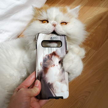 Canadian Top Rated Phone Cases – KaseMe